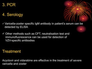 herpesviruses bacteria virus and infection | PPT