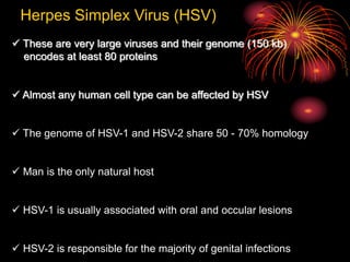 herpesviruses bacteria virus and infection | PPT