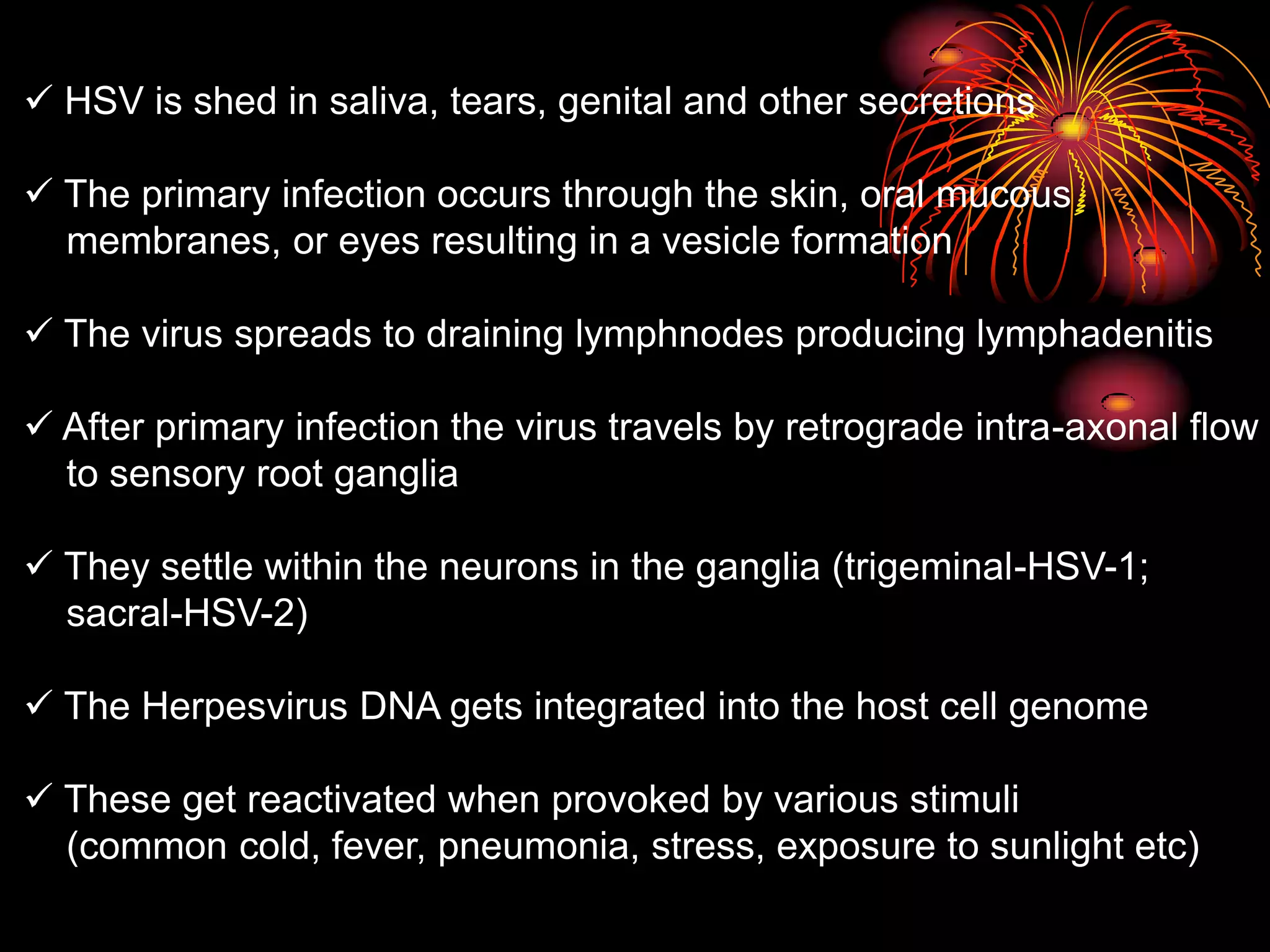 Herpesviruses | PPT