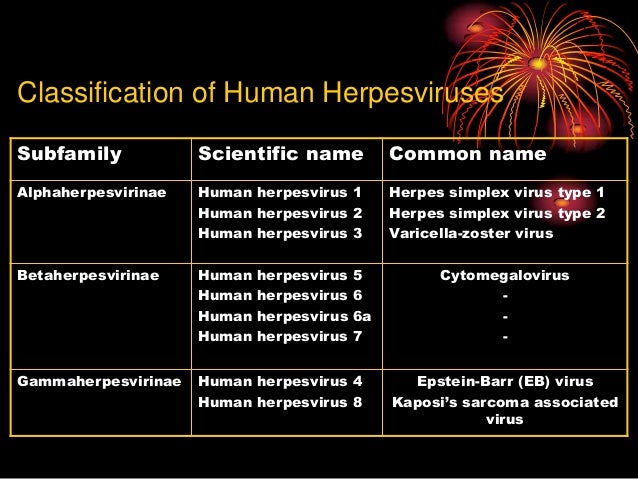 Herpesviruses