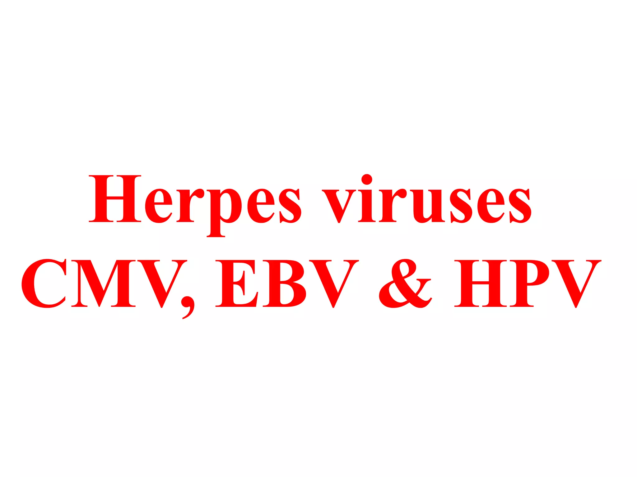 Herpesviruses | PPTX