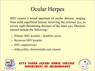 Herpesviruses | PPT