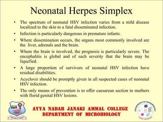 Herpesviruses | PPT