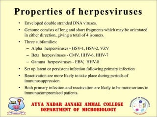 Herpesviruses | PPT