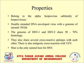 Herpesviruses | PPT