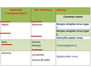 herpes viruses.pptx classification and pathogenesis | PPTX