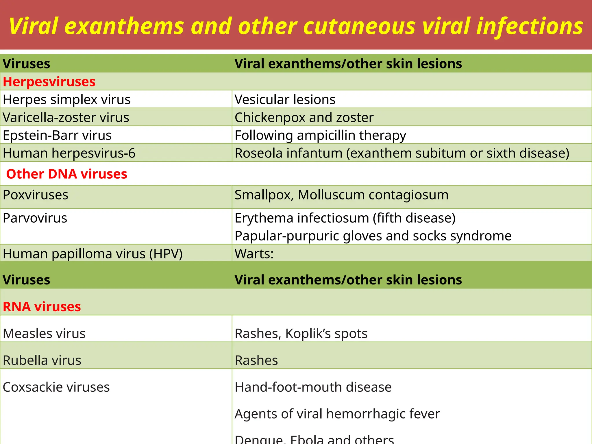 herpes viruses.pptx classification and discussion | PPTX