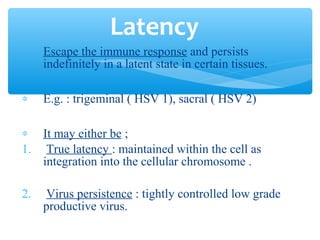 Herpesviruses2 | PPT