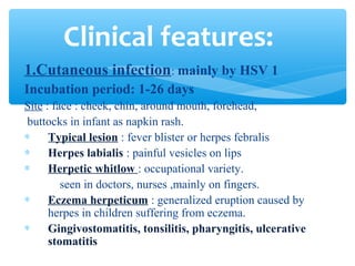 Herpesviruses2 | PPT