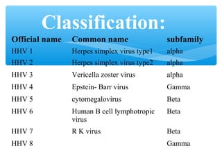 Herpesviruses2 | PPT