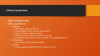 Herpesviruses and their Related Diseases | PPTX