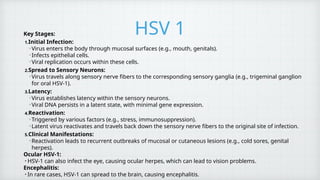 Herpes Viruses(HHV1-8) Herpes Viruses -Pathogenicity & Lab Diagnosis .pptx