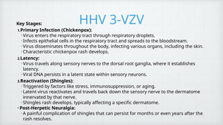 Herpes Viruses(HHV1-8) Herpes Viruses -Pathogenicity & Lab Diagnosis .pptx