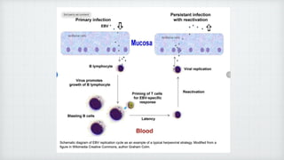 Herpes Viruses(HHV1-8) Herpes Viruses -Pathogenicity & Lab Diagnosis .pptx