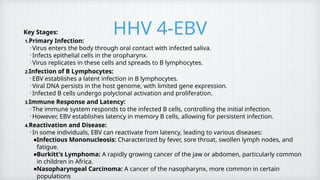 Herpes Viruses(HHV1-8) Herpes Viruses -Pathogenicity & Lab Diagnosis .pptx