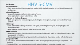 Herpes Viruses(HHV1-8) Herpes Viruses -Pathogenicity & Lab Diagnosis .pptx