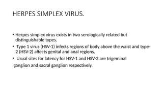 HERPESVIRUSES type 1 and 2 lecture 2 (1).pptx