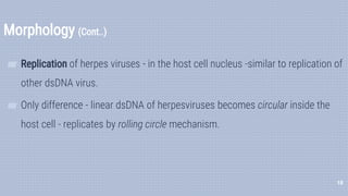 Herpes virus infection | PPTX