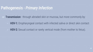 Herpes virus infection | PPTX