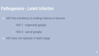 Herpes virus infection | PPTX