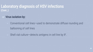 Herpes virus infection | PPTX