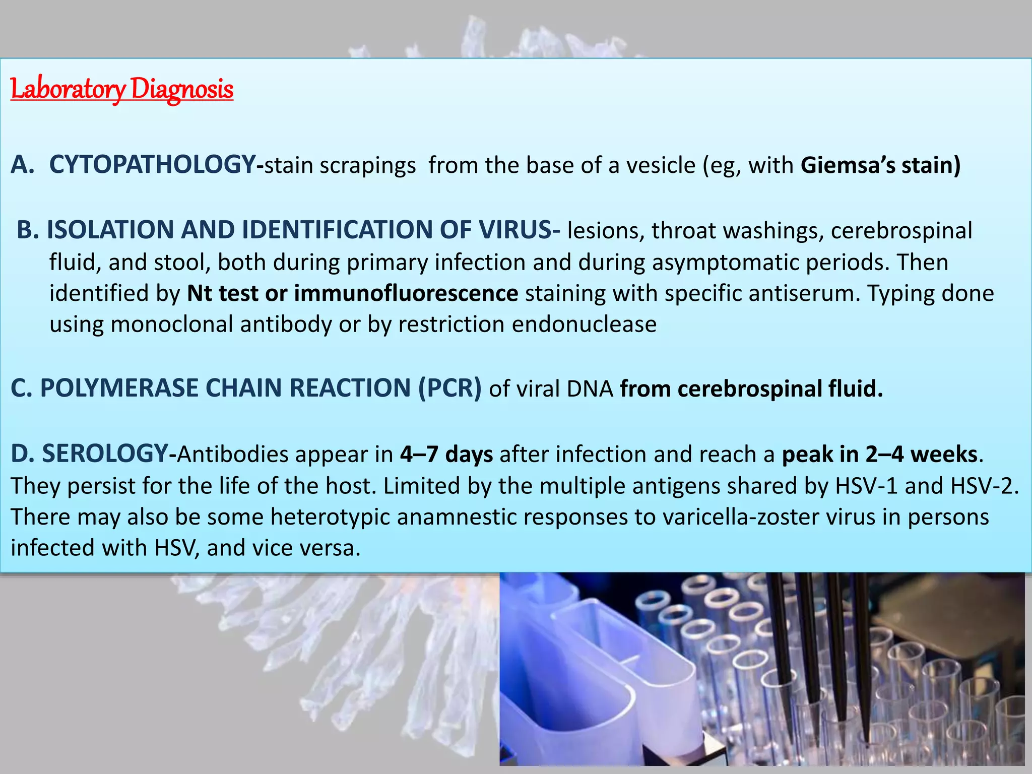 Herpes virus infections copy | PPTX