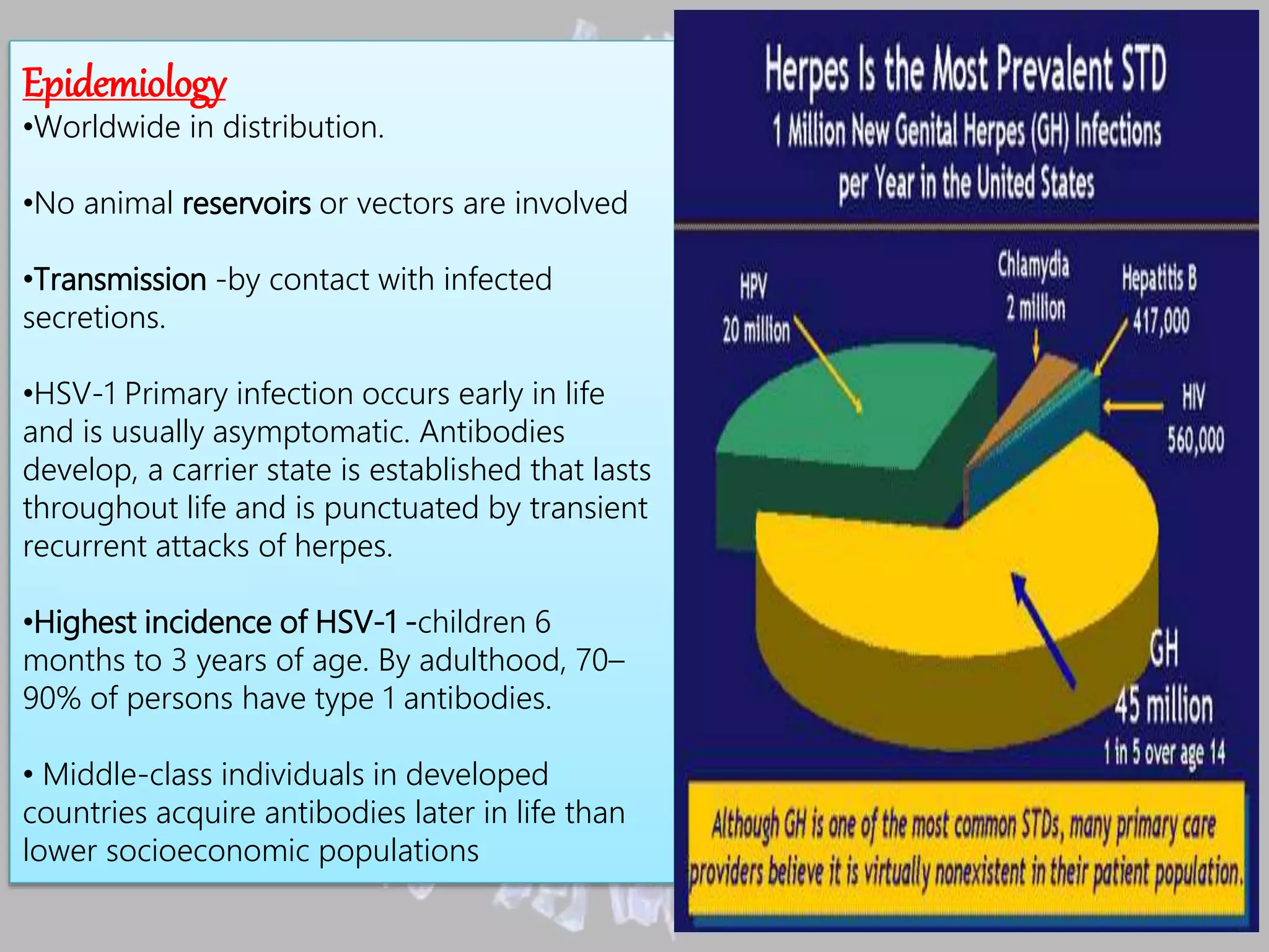 Herpes virus infections copy | PPTX