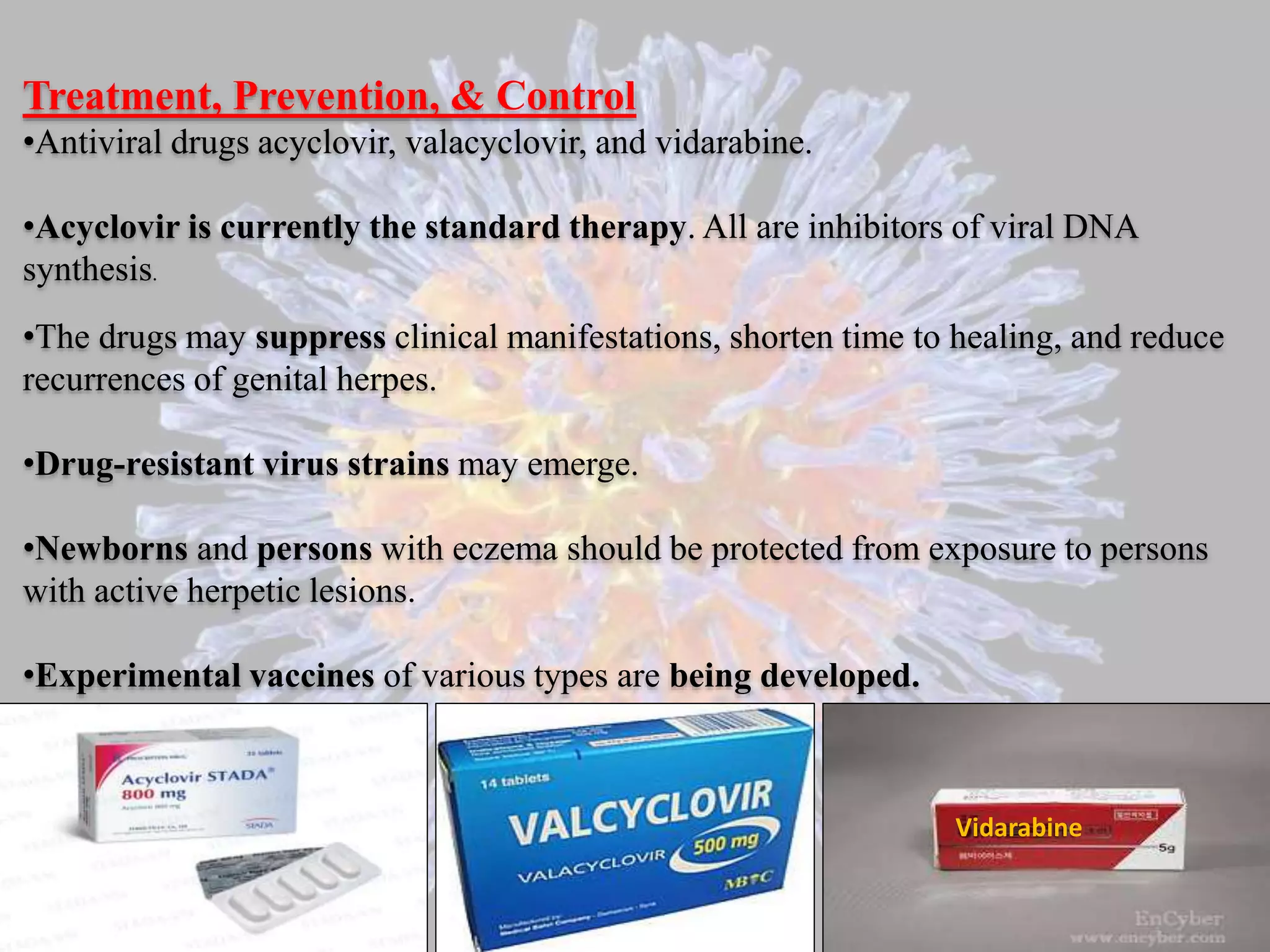 Herpes virus infections copy | PPTX