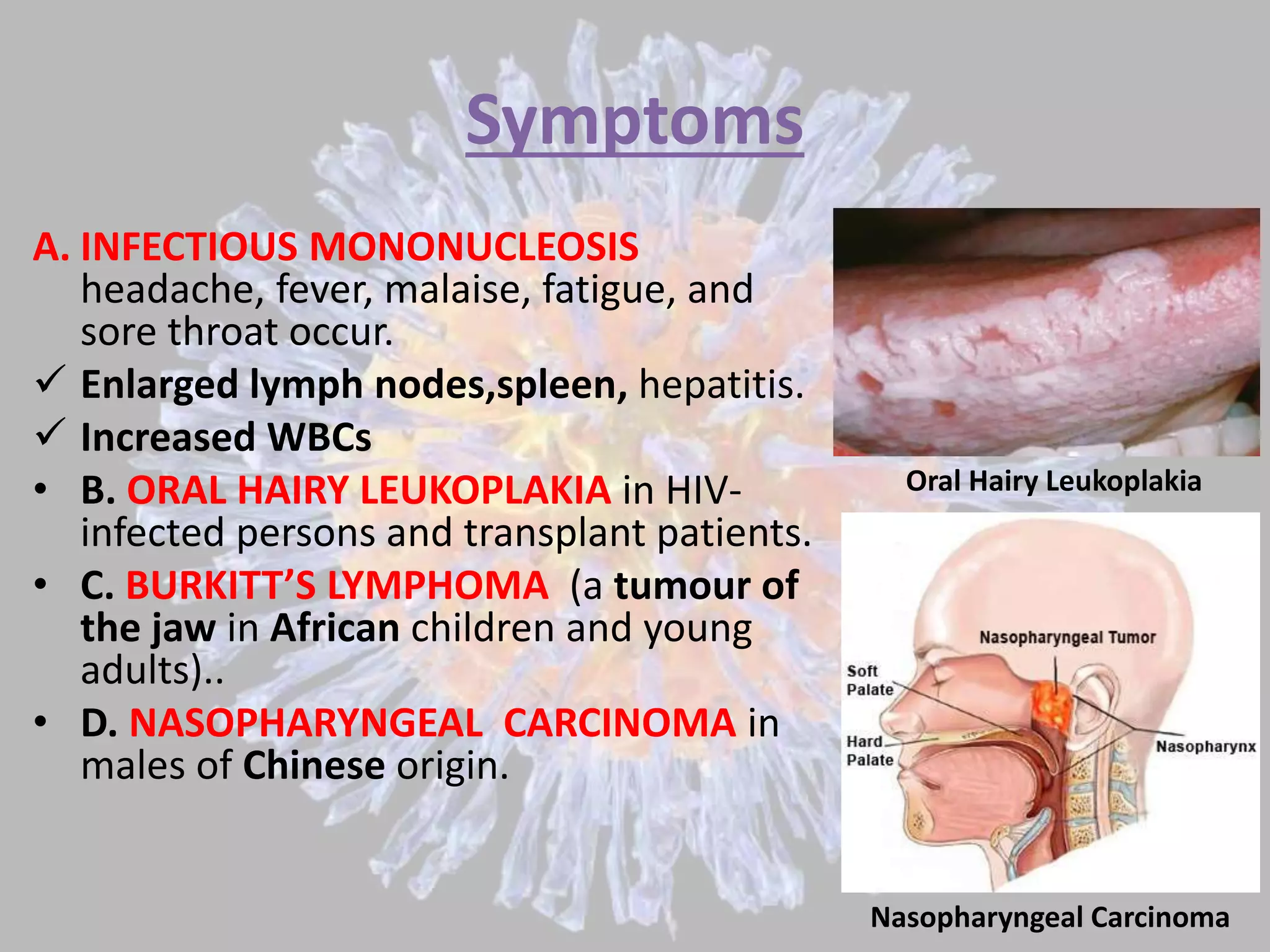 Herpes virus infections copy | PPTX