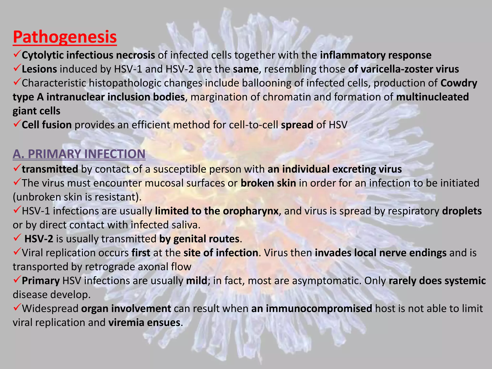 Herpes virus infections copy | PPTX
