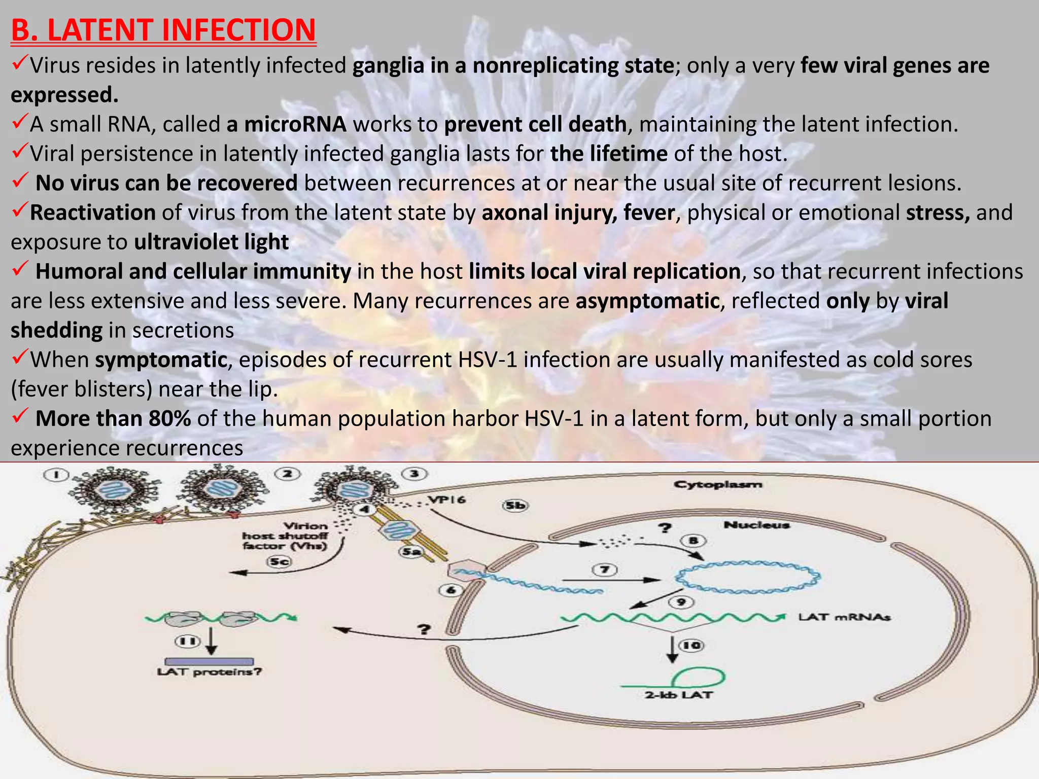 Herpes virus infections copy | PPTX