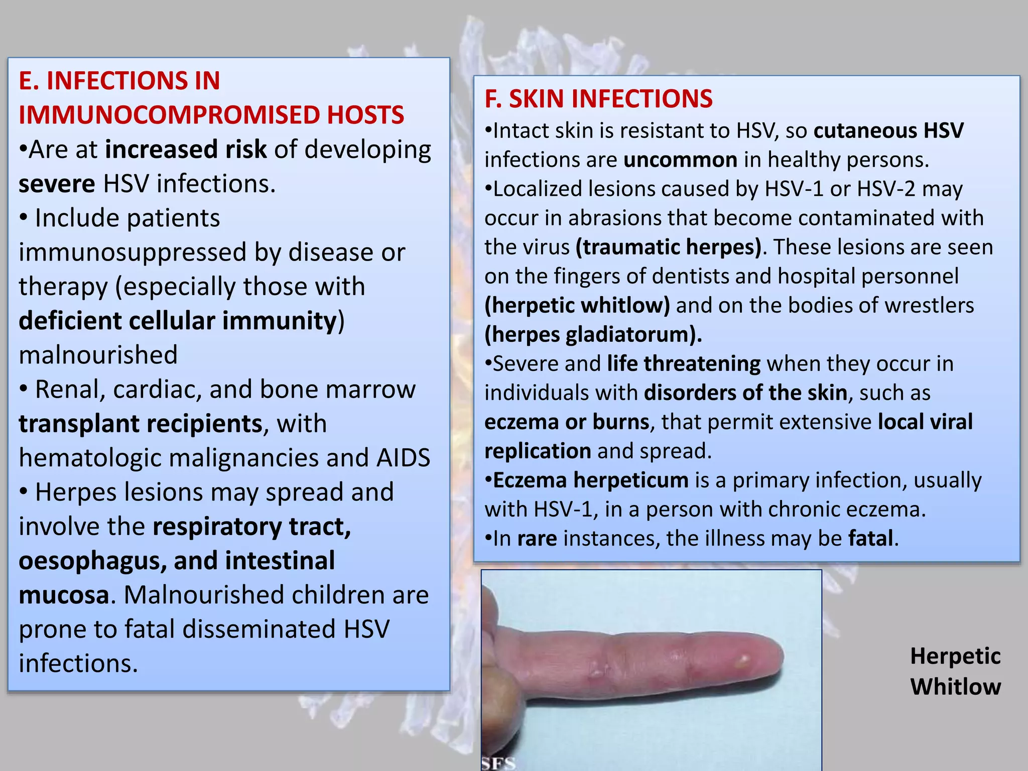 Herpes virus infections copy | PPTX