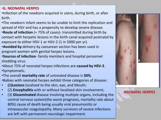 Herpes virus infections copy | PPTX