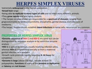 Herpes virus infections copy | PPTX