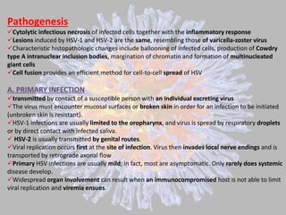 Herpes virus infections copy | PPTX