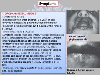 Herpes virus infections copy | PPTX