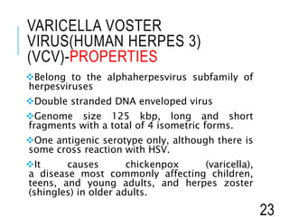 Biochemistry of herpes viruses | PPT
