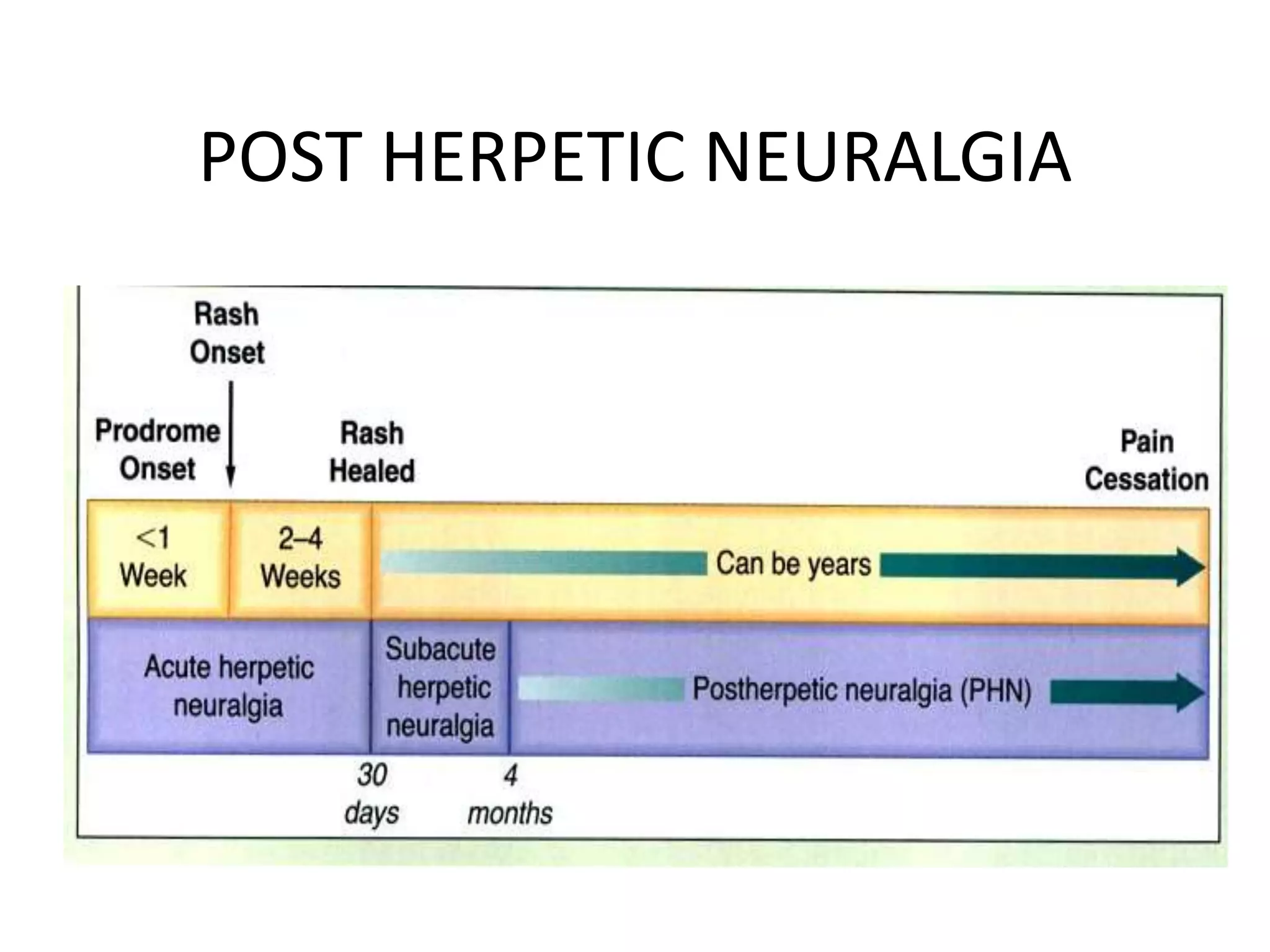 Herpes zoster and phn (1) | PPTX