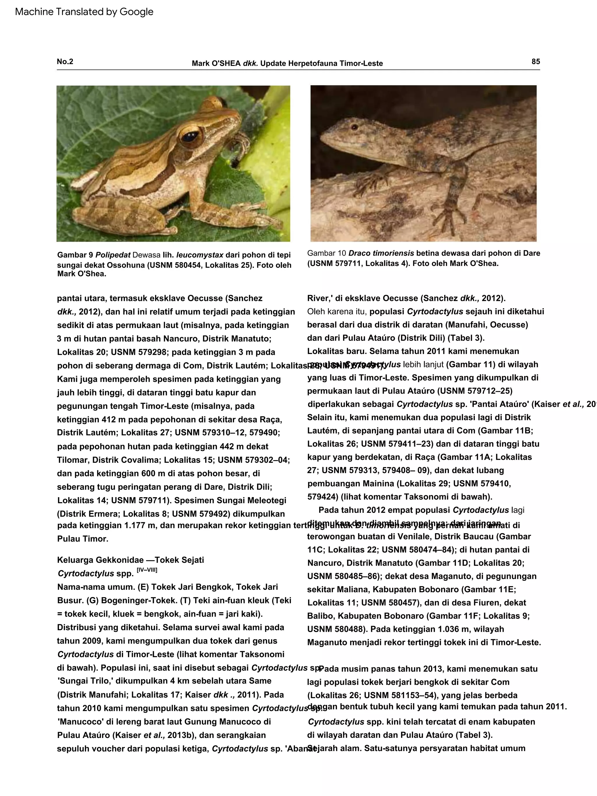 Herpetological_Diversity_of_Timor_Leste (1).pdf