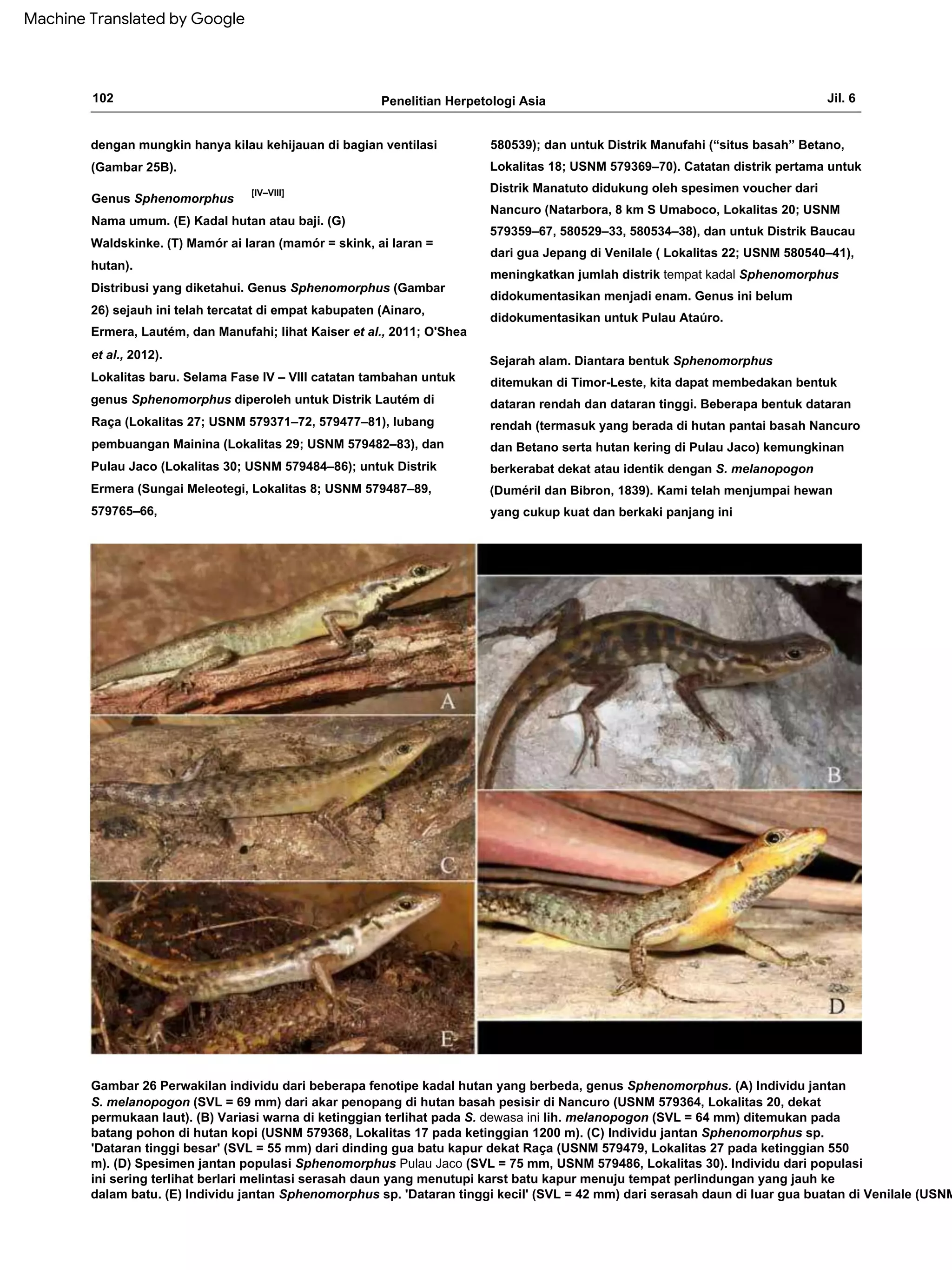 Herpetological_Diversity_of_Timor_Leste (1).pdf