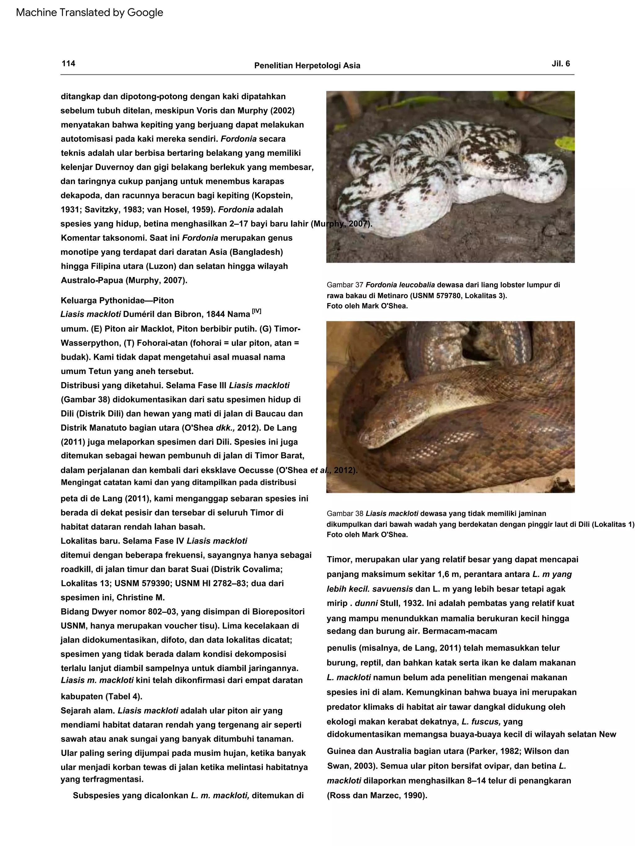 Herpetological_Diversity_of_Timor_Leste (1).pdf