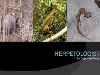 Herpetologist project reading | PPT