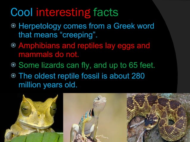 Herpetologist project reading | PPT