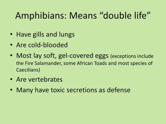 Herpetology | PPTX | Fish and Aquariums | Pets