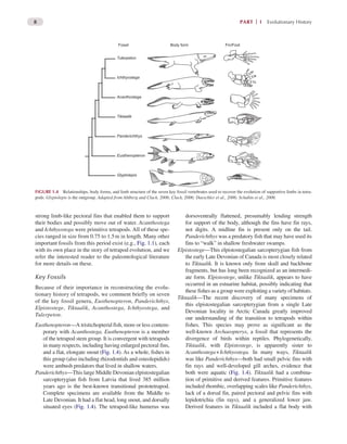 Herpetology. An Introductory Biology of Amphibians and Reptiles ...