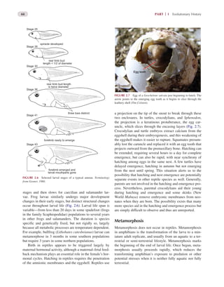 Herpetology. An Introductory Biology of Amphibians and Reptiles ...