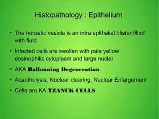 Herpes Simplex RC | ODP | Infectious Diseases | Diseases and Conditions