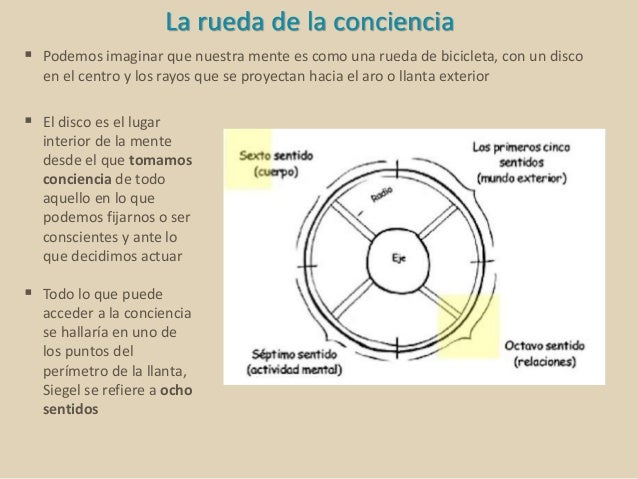 Educar para el cambio: Mindfulness