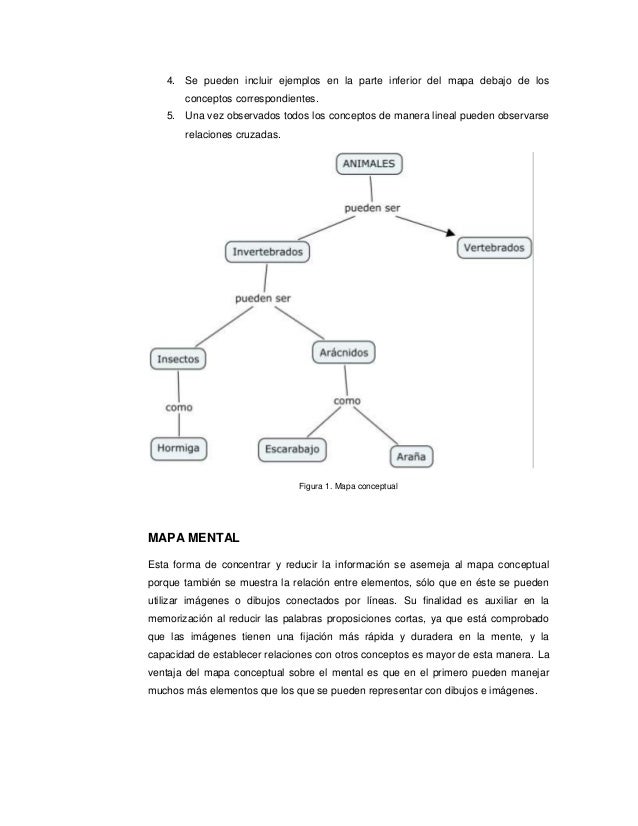 oído regional seno creacion de herramientas Nominal Gastos de envío Detectable