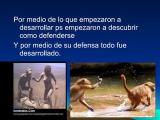 Herrer Katherine Procesodehumanizacion | PPT